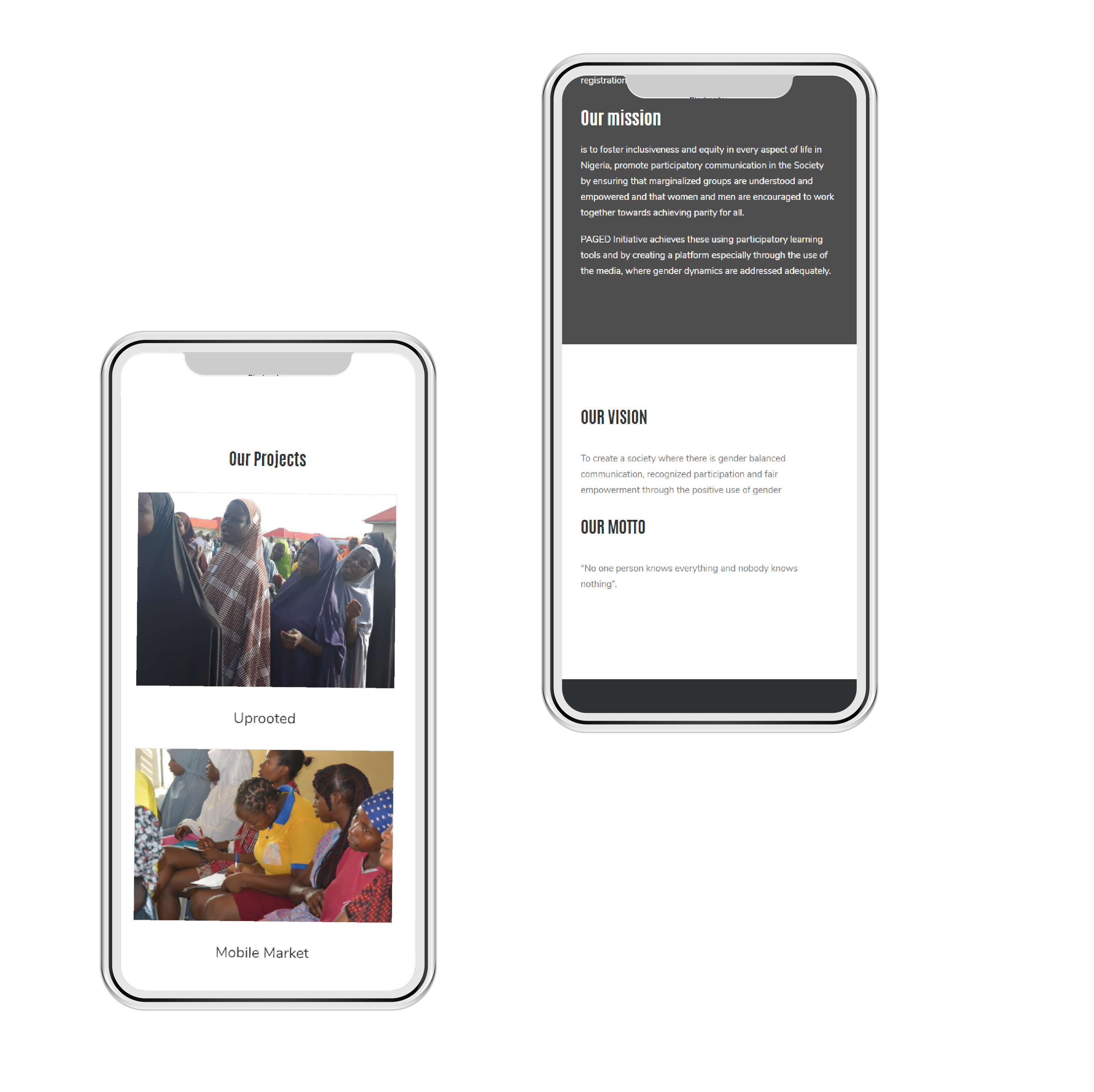 Website Design | Paged Initiative - Endgame